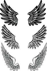 Wings set 7 Royalty Free Vector Image - VectorStock