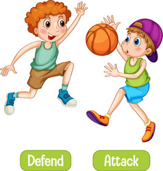 Sport Flashcards Vector Images (over 100)