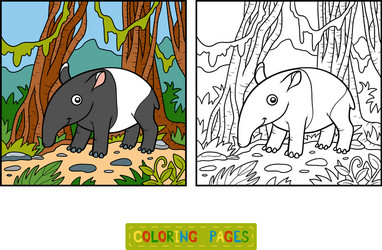 Coloring book malayan tapir Royalty Free Vector Image
