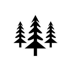 Douglas Fir Vector Images (51)