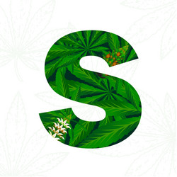 Letter with cannabis leaf for logo design Vector Image