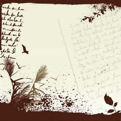 Vintage design elements on old paper sheet Vector Image