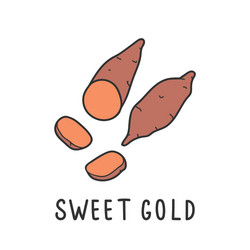 Yacon Royalty Free Vector Image - VectorStock