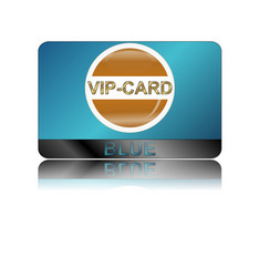 Vip cards gold and silver Royalty Free Vector Image