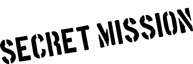 Secret mission red rubber stamp on white Vector Image