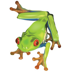 Tree Frog Vector Images (over 2,300)