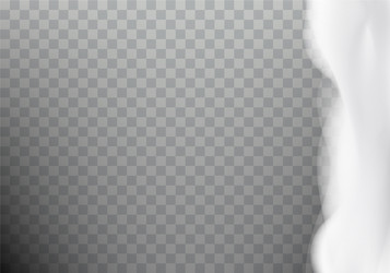 Bath Foam Vector Images (over 30,000)