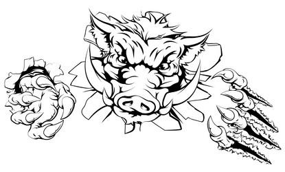 Claw Rip Vector Images (over 990)