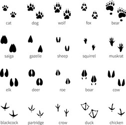 Partridge Silhouette Vector Images (80)