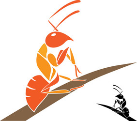 Ant Vector Images (over 14,000)