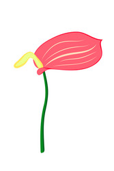 Anthurium Flower Vector Images (over 1,000)