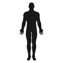 Human body icon outline Royalty Free Vector Image