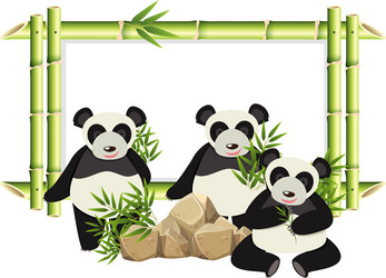 Panda Border Frame Vector Images (over 170)