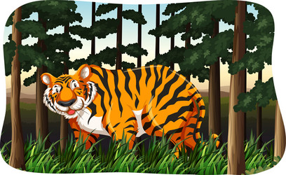 Tiger Picture Vector Images (over 2,200)
