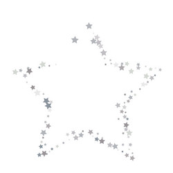 Silver star banner simple form template card vip Vector Image