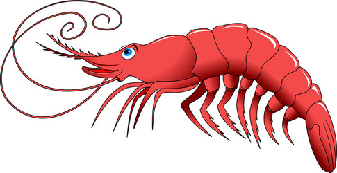 Shrimp Cartoon Vector Images (over 8,700)