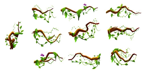 Vine Tree Drawing