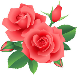 Single rose card Royalty Free Vector Image - VectorStock