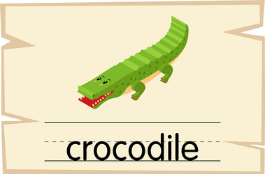 Crocodile Flashcard Vector Images (46)