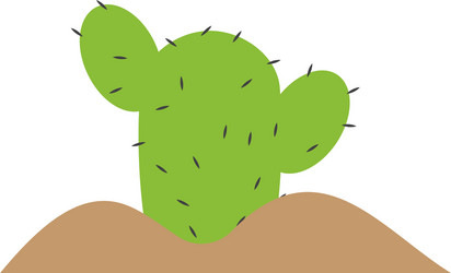 Cactus plant graphic design template isolated Vector Image