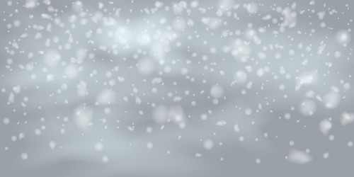 Snowflakes snowfall Royalty Free Vector Image - VectorStock