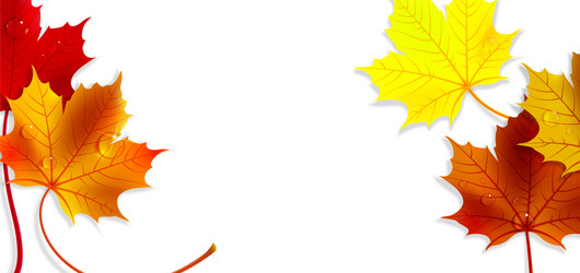 Autumn background with square frame and maple Vector Image