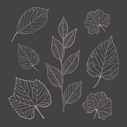 Leaves Vector Images (over 660,000)