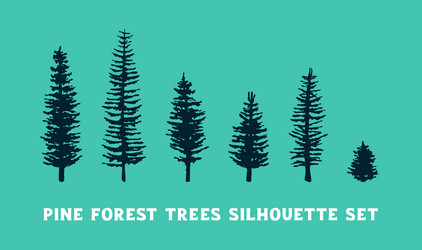 Different Shapes of Pine Trees Vector Images (over 320)