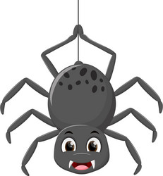 Cartoon funny spider isolated on white background Vector Image