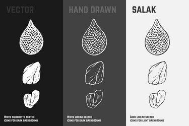Salak Icon Vector Images (over 160)