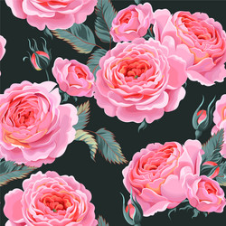 Beautiful roses seamless Royalty Free Vector Image