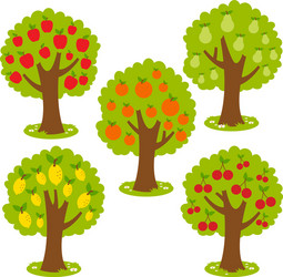 Fruit tree growing trees with fruits and bush Vector Image