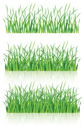 Grass Vector Images (over 350,000)