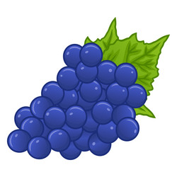 Grapes Cartoon Vector Images (over 12,000)
