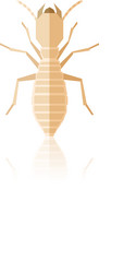 Anti termite symbol Royalty Free Vector Image - VectorStock