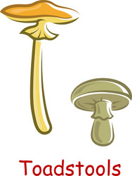 Cartoon toadstool character set isolated on white Vector Image