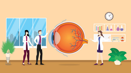 Eye Check Up Vector Images (over 450)