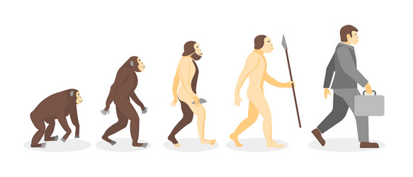 Monkey Stage Evolution Vector Images (86)