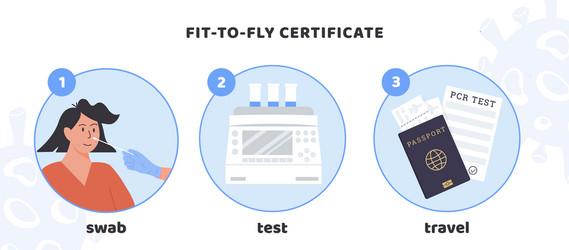 Concept travelling with fit to fly certificate Vector Image