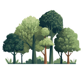 Nature big tree Royalty Free Vector Image - VectorStock