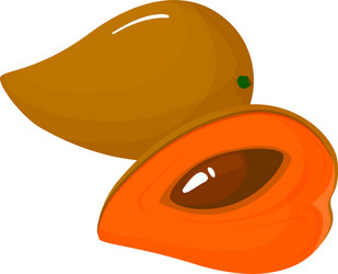 Sapota Vector Images (over 260)