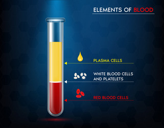 Elements of blood red cell Royalty Free Vector Image