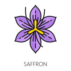 Saffron Vector Images (over 6,800)