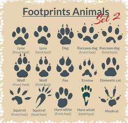Lynx Paw Print Vector Images (42)