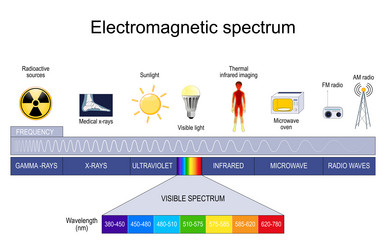 Electromagnetic spectrum diagram Royalty Free Vector Image