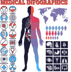 Infographic Radiology Vector Images (over 480)