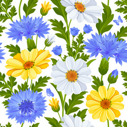 Yellow daisy flower border Royalty Free Vector Image