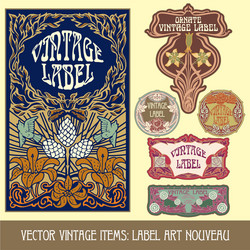 Vintage floral style brochure and flyer design Vector Image