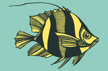 Ulua Vector Images (18)