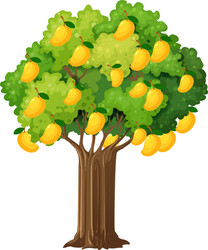 Mango Tree Cartoon Vector Images (over 180)